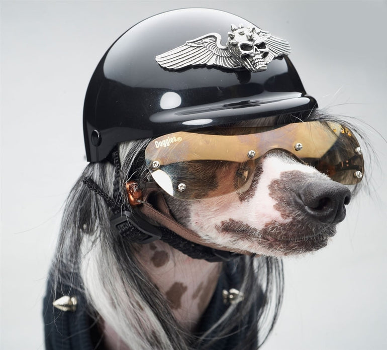 Limited Edition Motorcycle Helmet for Dogs - Elite Pet Design